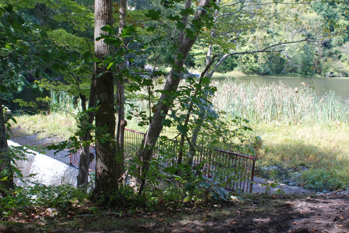 Weed Island Floats to Dam – Longwood Lake Cabin Owners Association