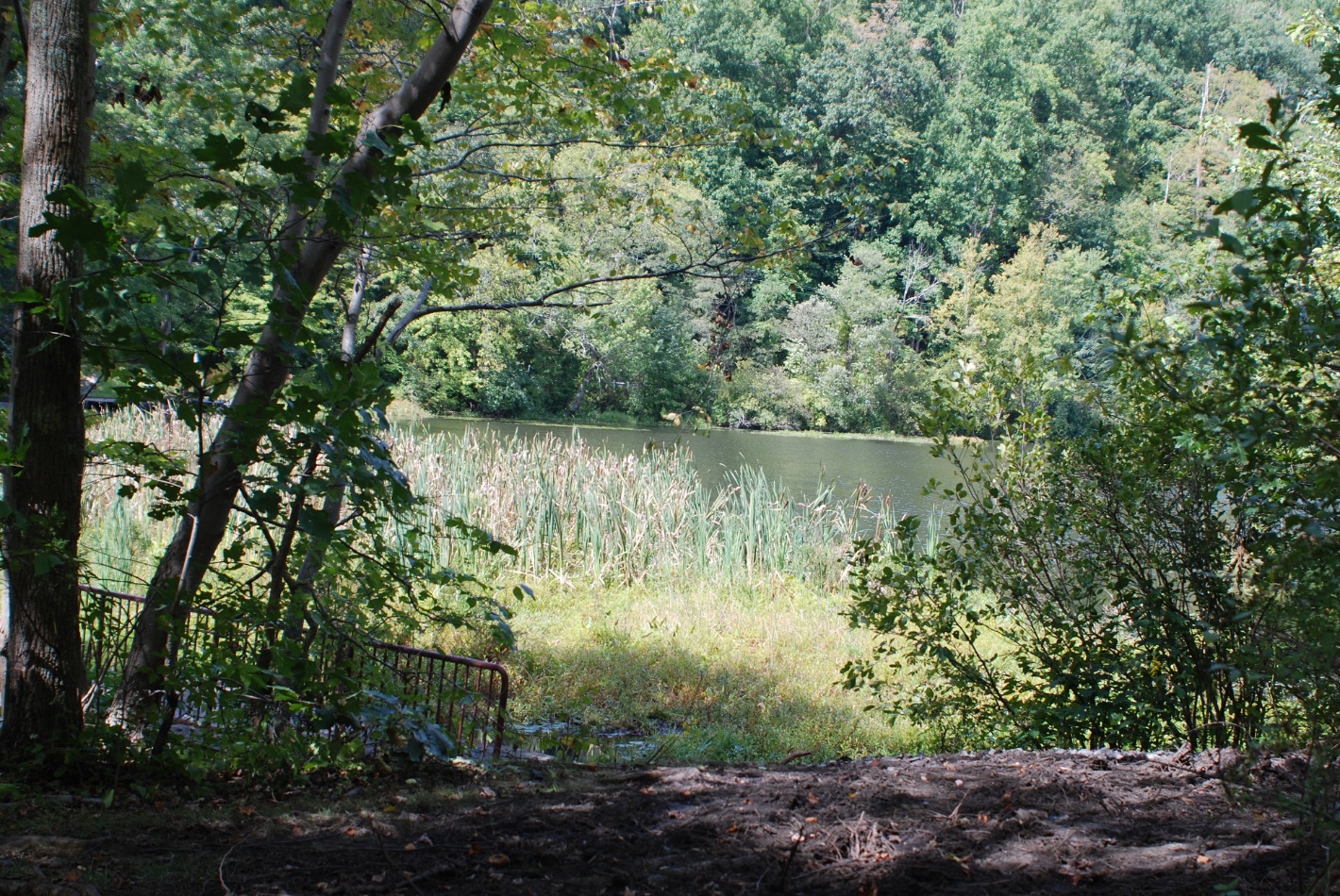 Weed Island Floats to Dam – Longwood Lake Cabin Owners Association