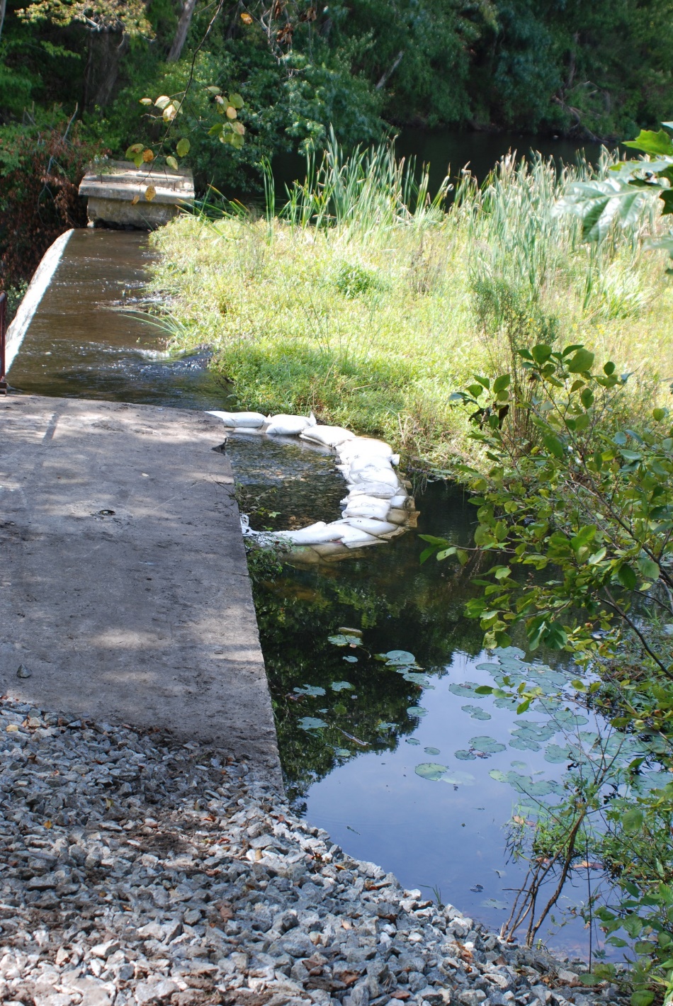 Weed Island Floats to Dam – Longwood Lake Cabin Owners Association